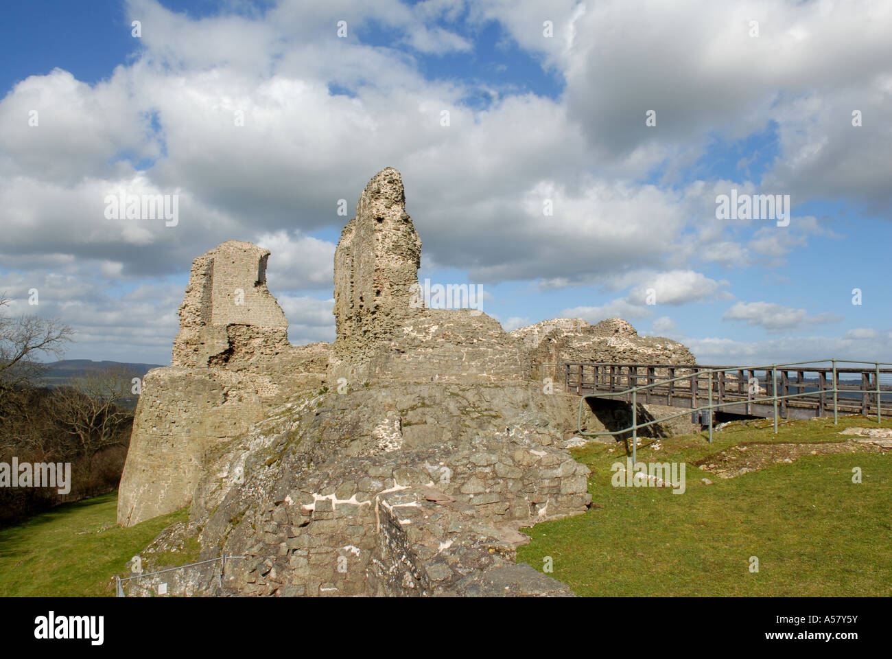 Montgomery Castle, Powys, Wales, UK Stock Photo - Alamy