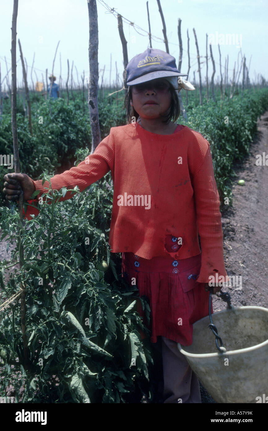 Child job mexico hi-res stock photography and images - Alamy
