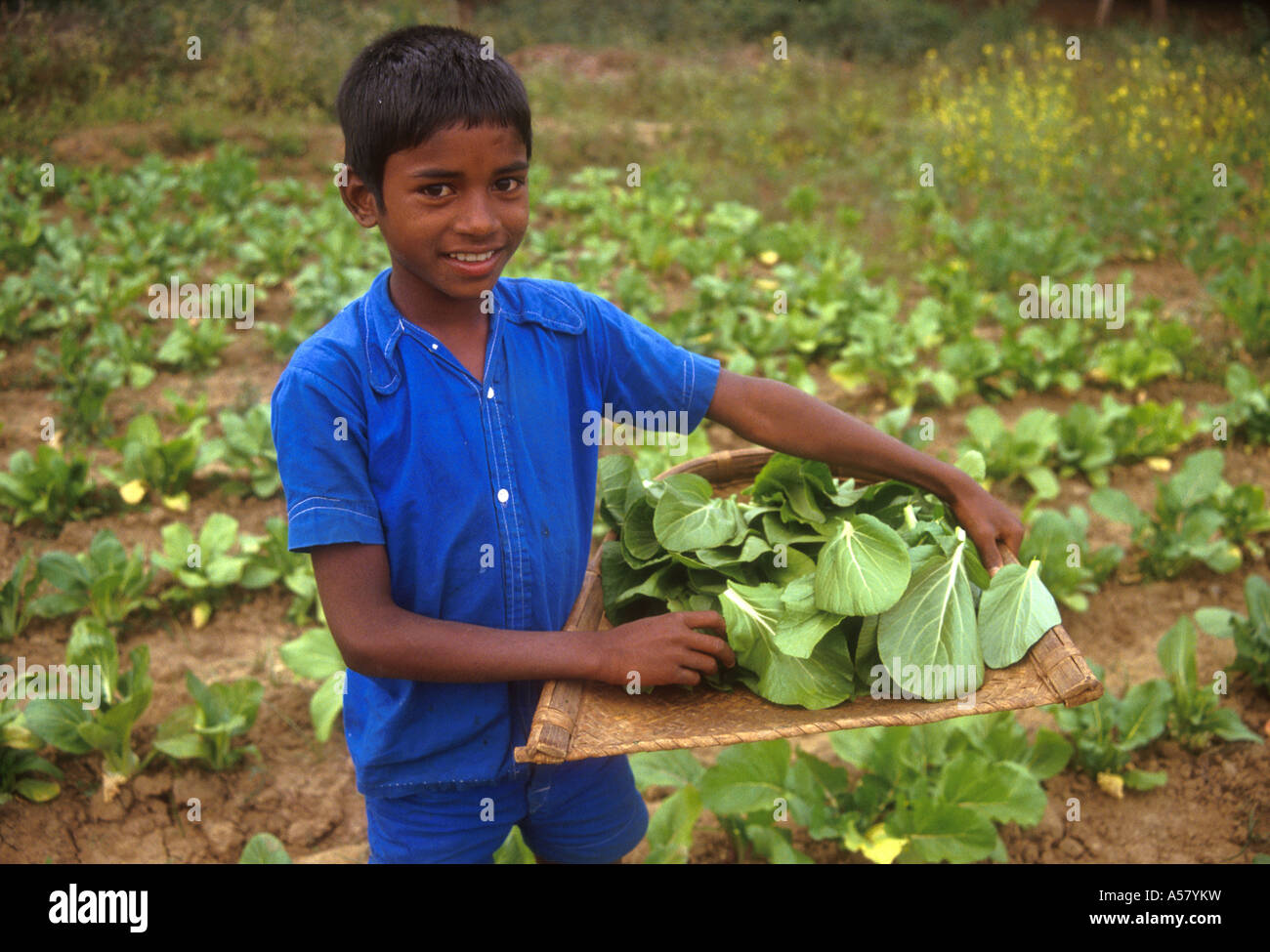 Painet ha2094 4207 india boy working garden catholic boarding school ...