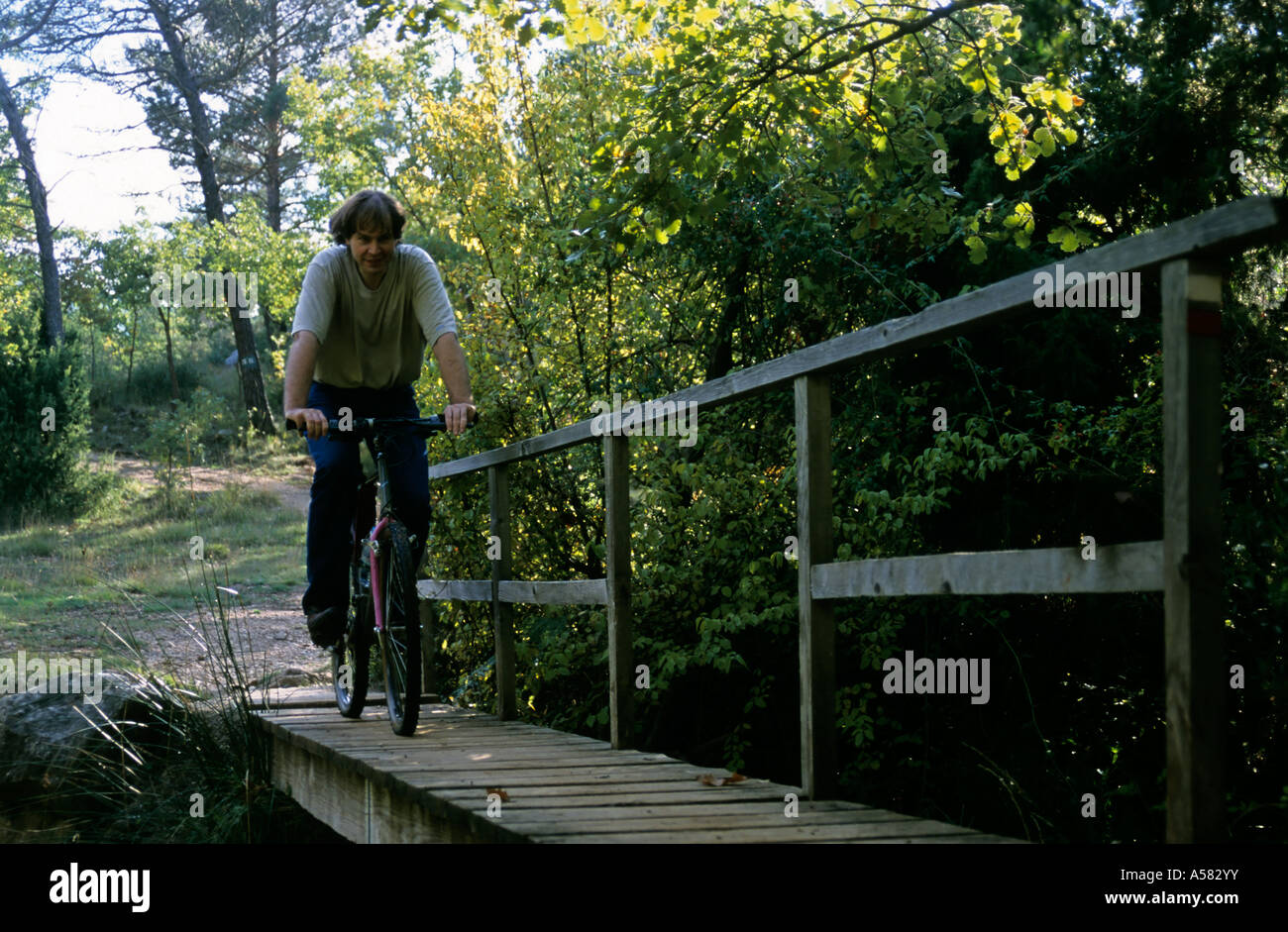 Man riding a mountain bike across a wooden bridge, Provence, France ...