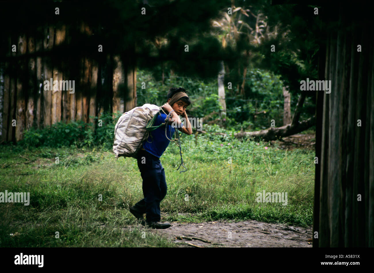 Children carrying heavy load hi-res stock photography and images - Alamy