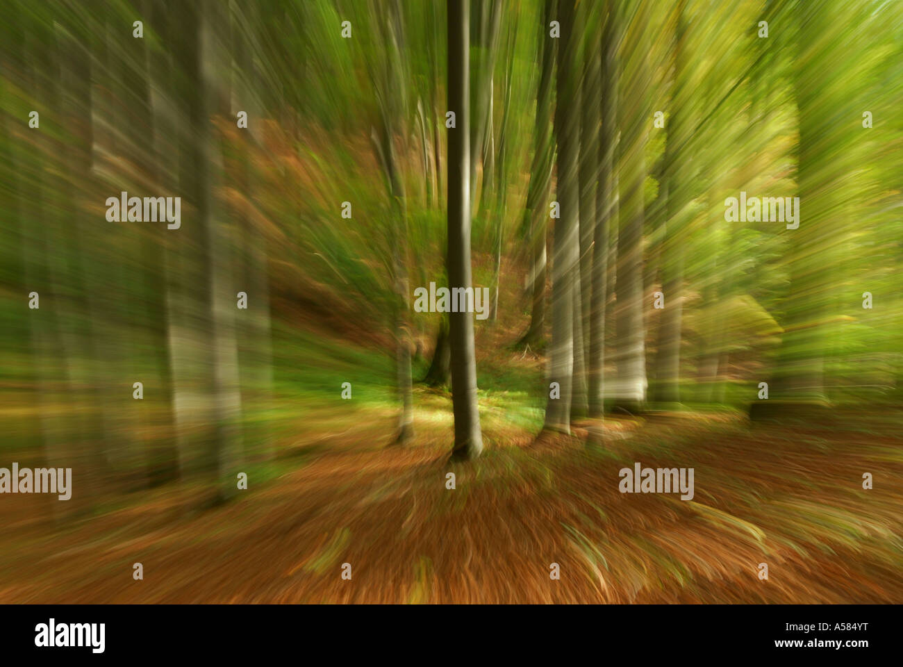 Log effekt hi-res stock photography and images - Alamy