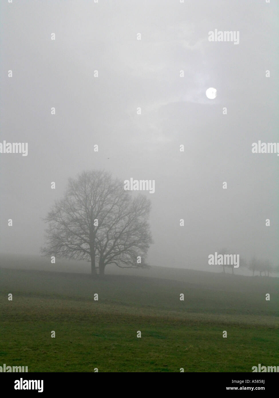 Grey sky landscape hi-res stock photography and images - Alamy