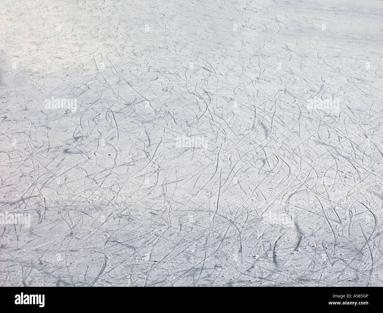 Surface of an ice skating rink with tracks made by skates Stock Photo ...