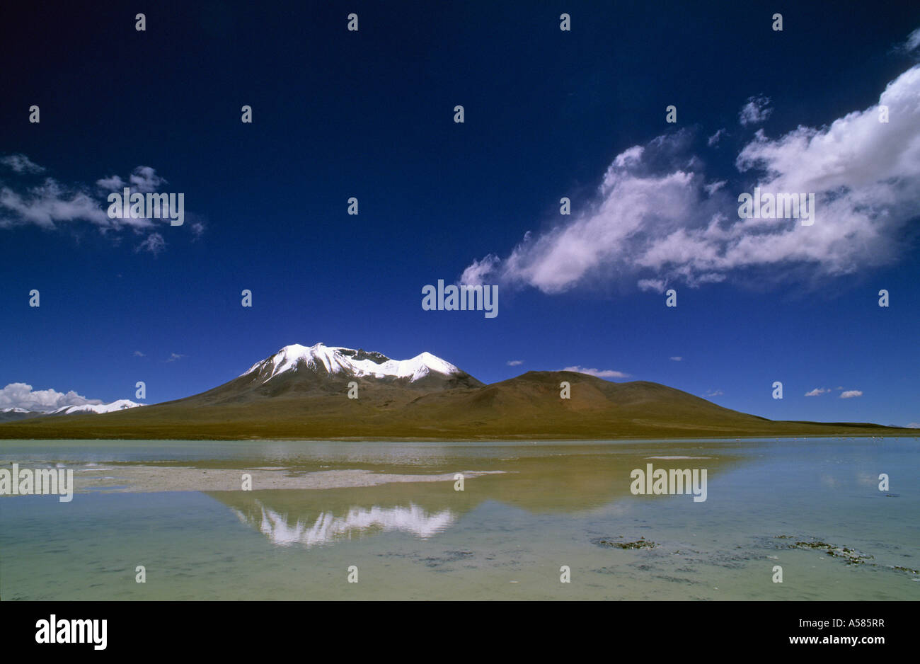 The volcano Cerro Condor, southern altiplano, Potosi, Bolivia Stock ...