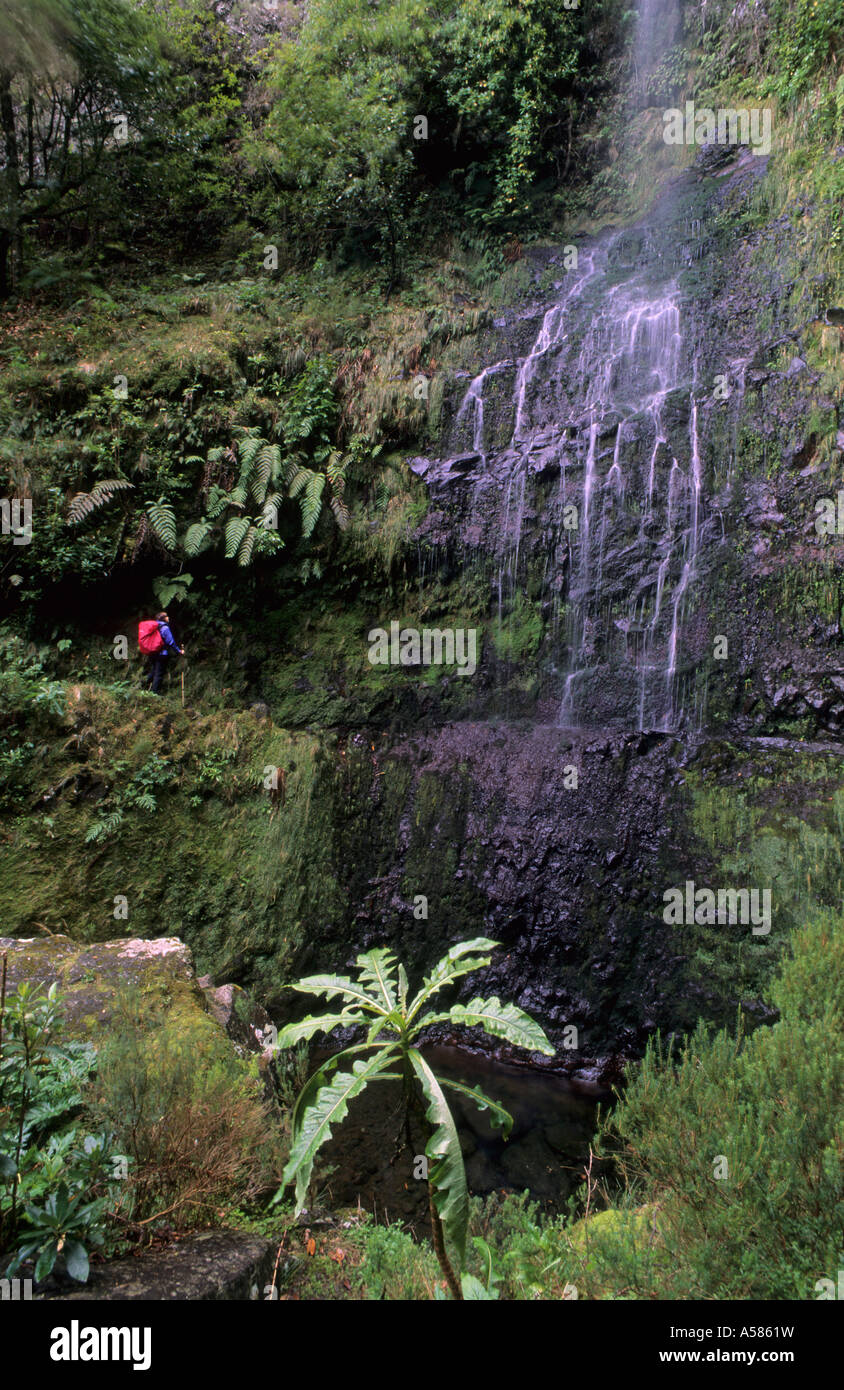 Female hiker near a cascade near the irrigation channel Levada do ...