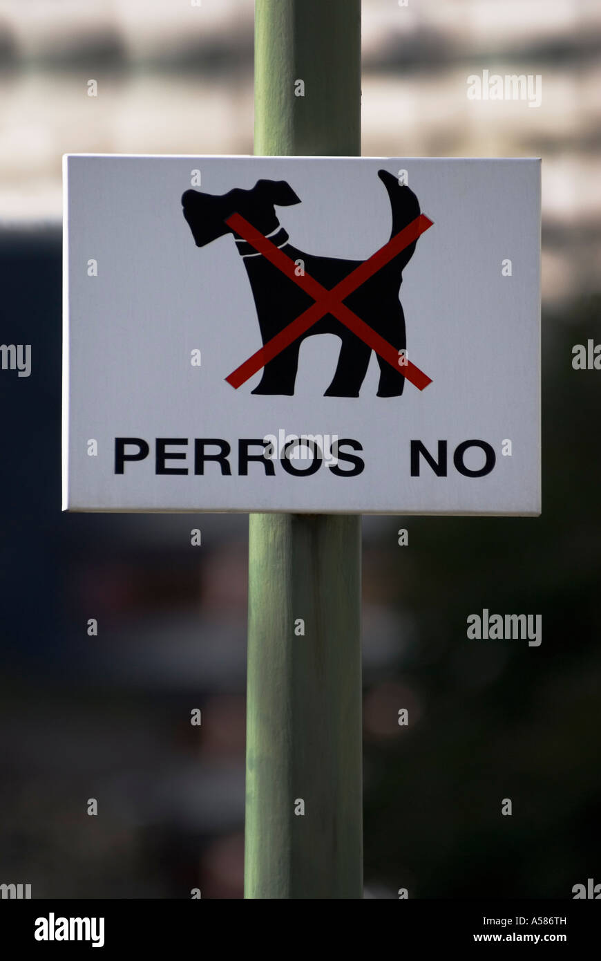 Prohibition sign, no dogs, Spain Stock Photo - Alamy
