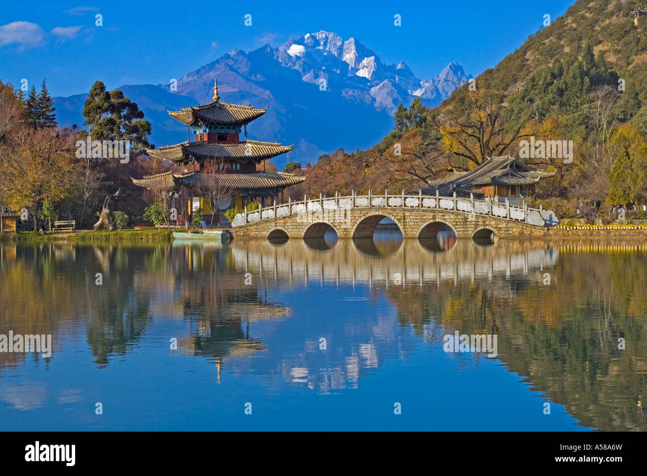 Heilong tan hi-res stock photography and images - Alamy