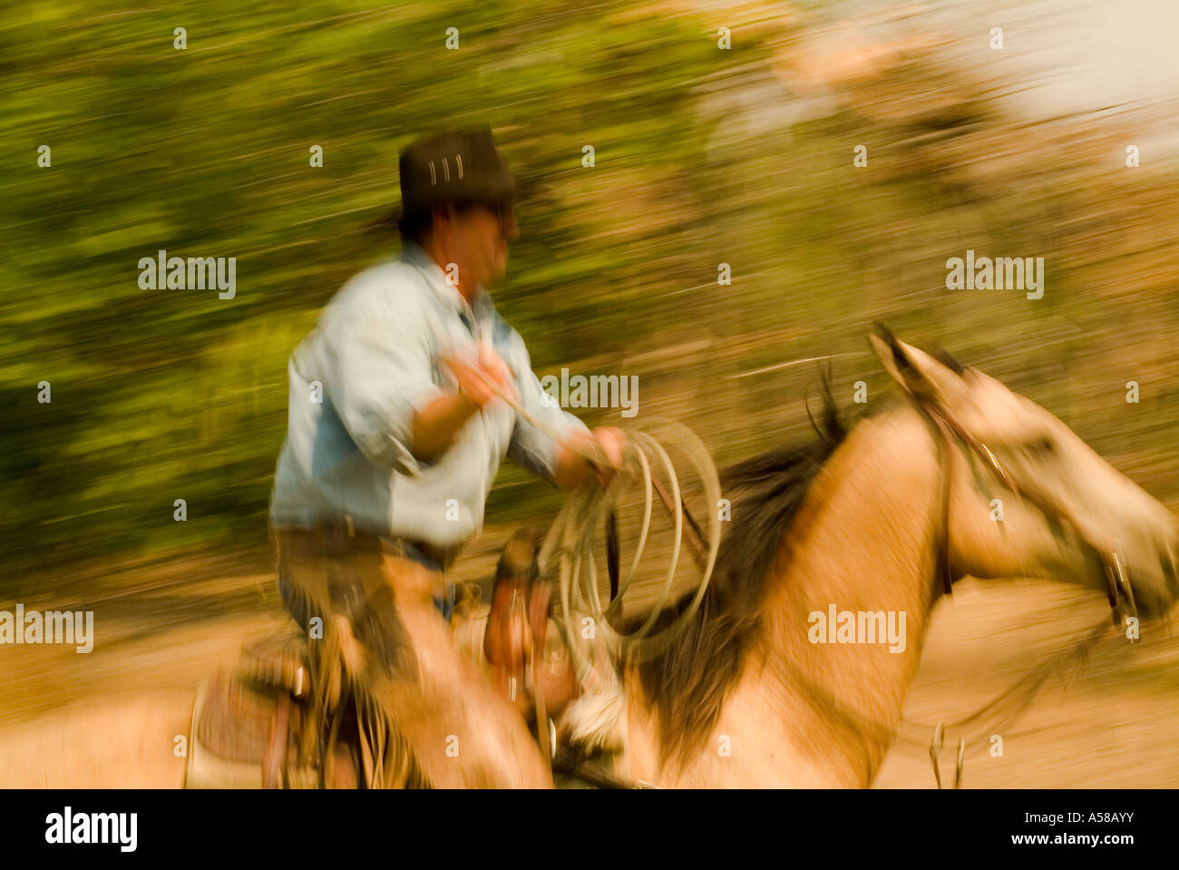 Cowboy and lasso at a Dude Ranch Knife River Ranch North Dakota Stock ...