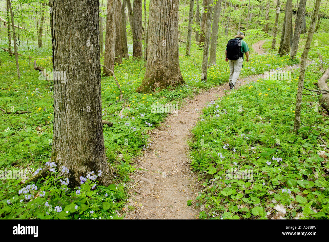 Hiker on the Rocky Bluff Trail in Crab Orchard national Wildlife Refuge ...