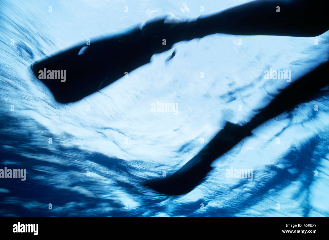 France Marseille Blurred Legs And Fins Of Scuba Diver Near Surface ...