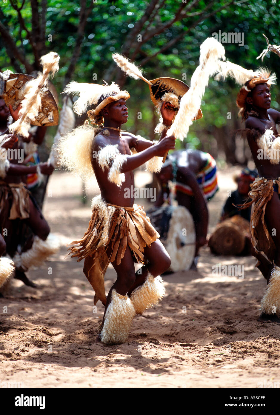 Zulu warriors hi-res stock photography and images - Alamy