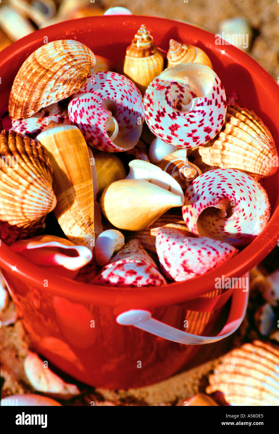 Pclp8601985 hi-res stock photography and images - Alamy