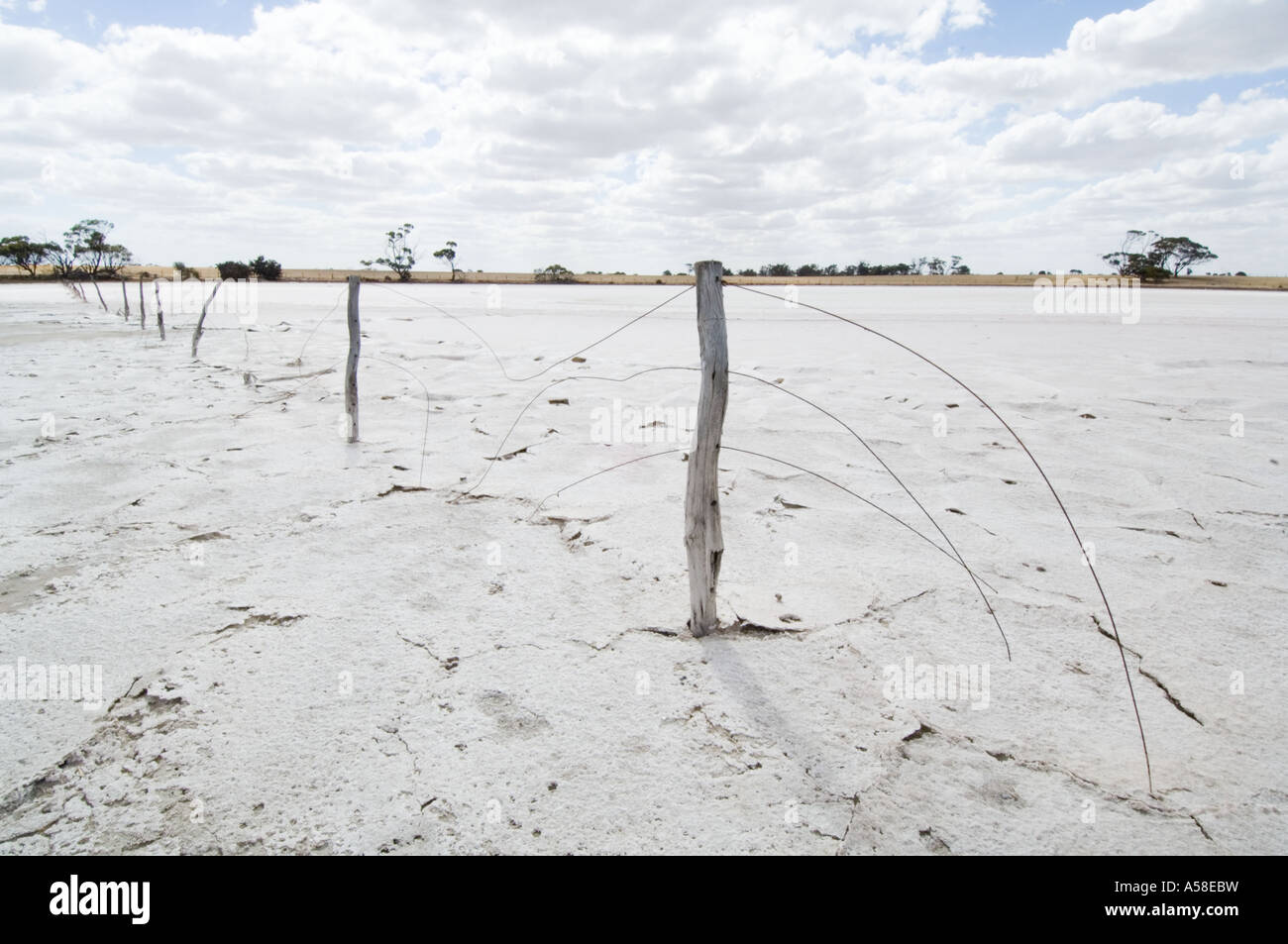 Salination farmland australia hi-res stock photography and images - Alamy