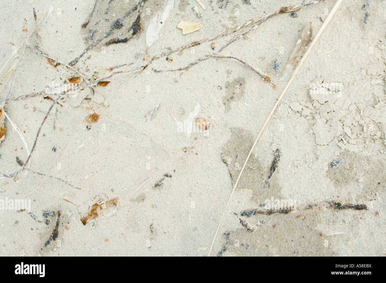 Salination farmland australia hi-res stock photography and images - Alamy