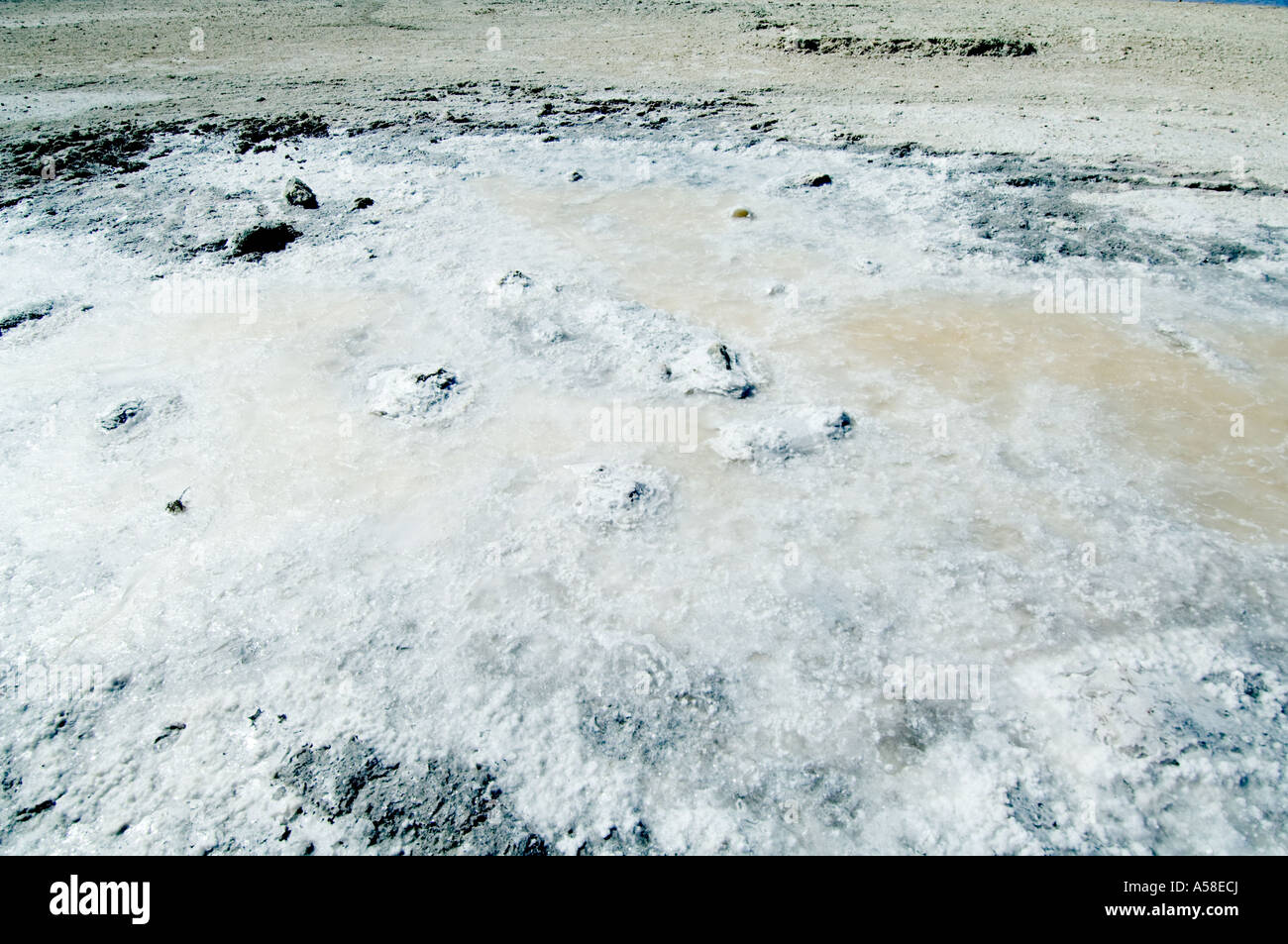 Drought, salt incrusted dried out Gardner Lakebed, Rottnest Island ...