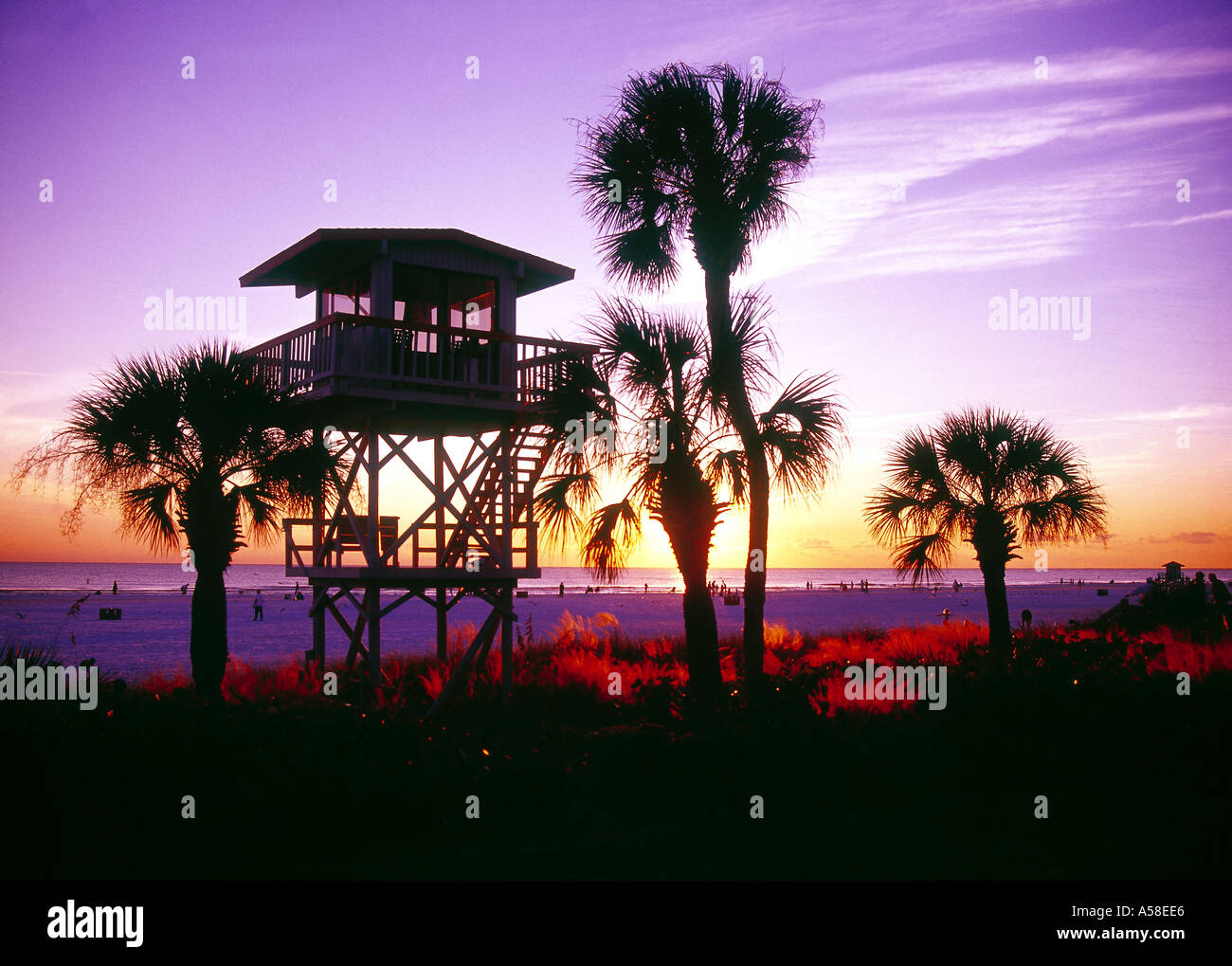 Sunset sarasota florida silhouette hi-res stock photography and images ...