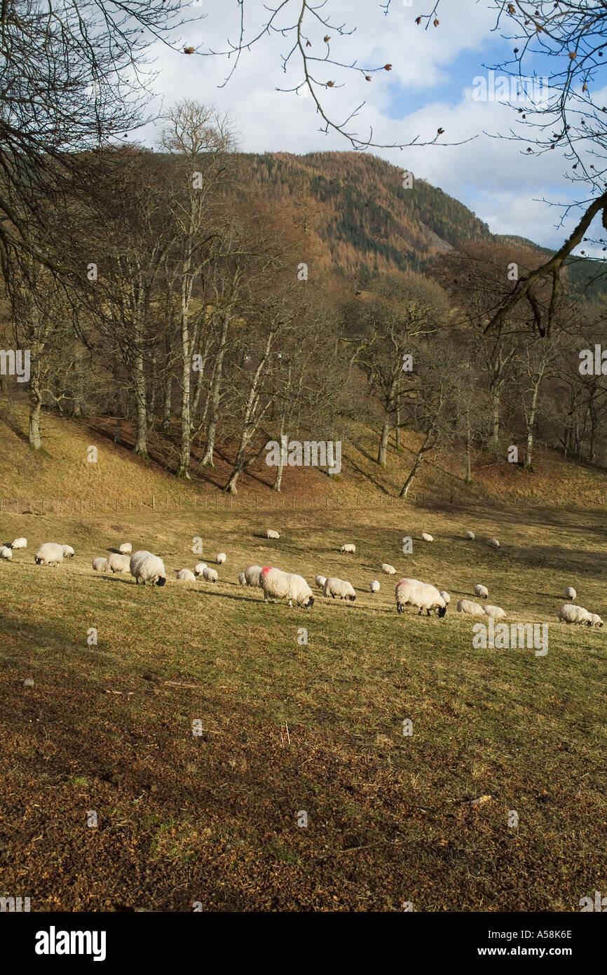 Strathtummel perthshire hi-res stock photography and images - Alamy
