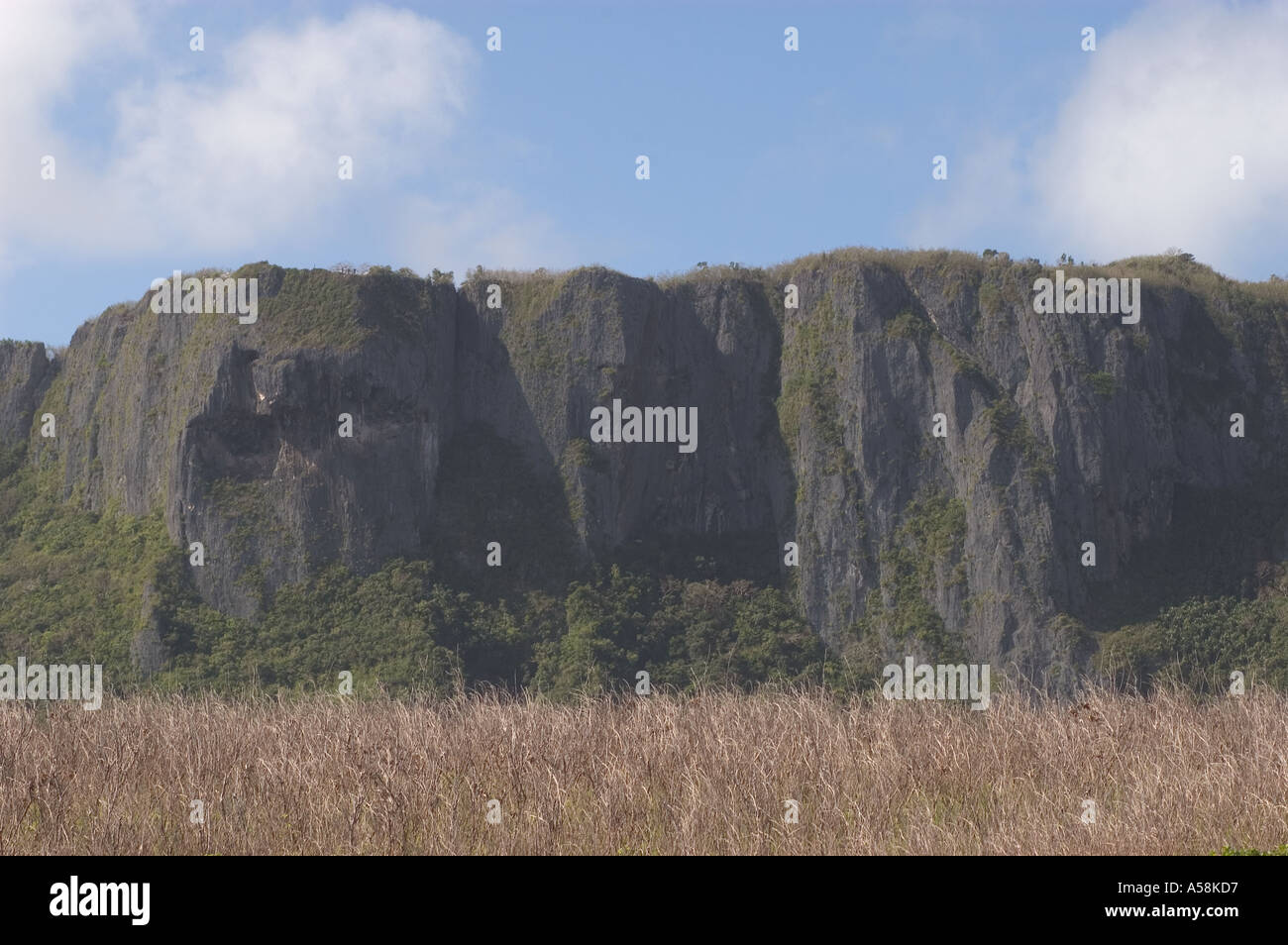 Suicide Cliff Saipan CNMI Japanese WWII site Stock Photo - Alamy