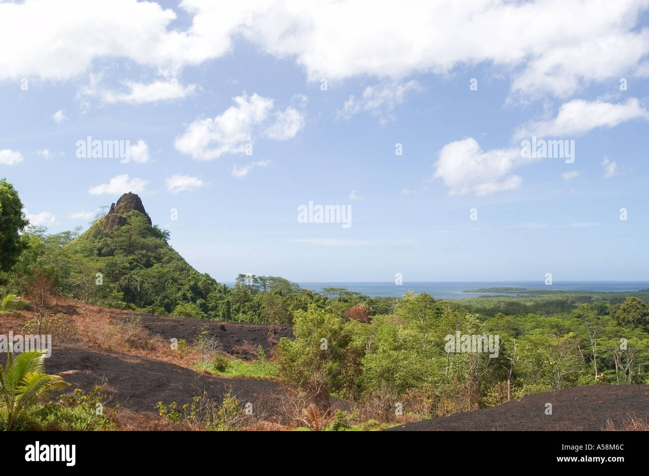 Pohnpei hi-res stock photography and images - Alamy
