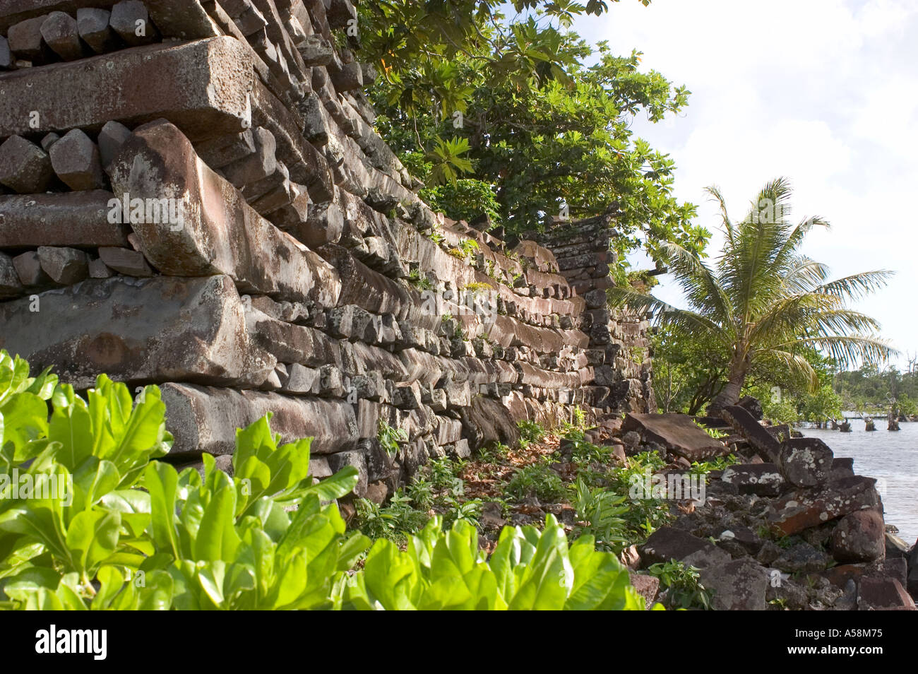 Pohnpei - Nan Midol ruins Stock Photo - Alamy