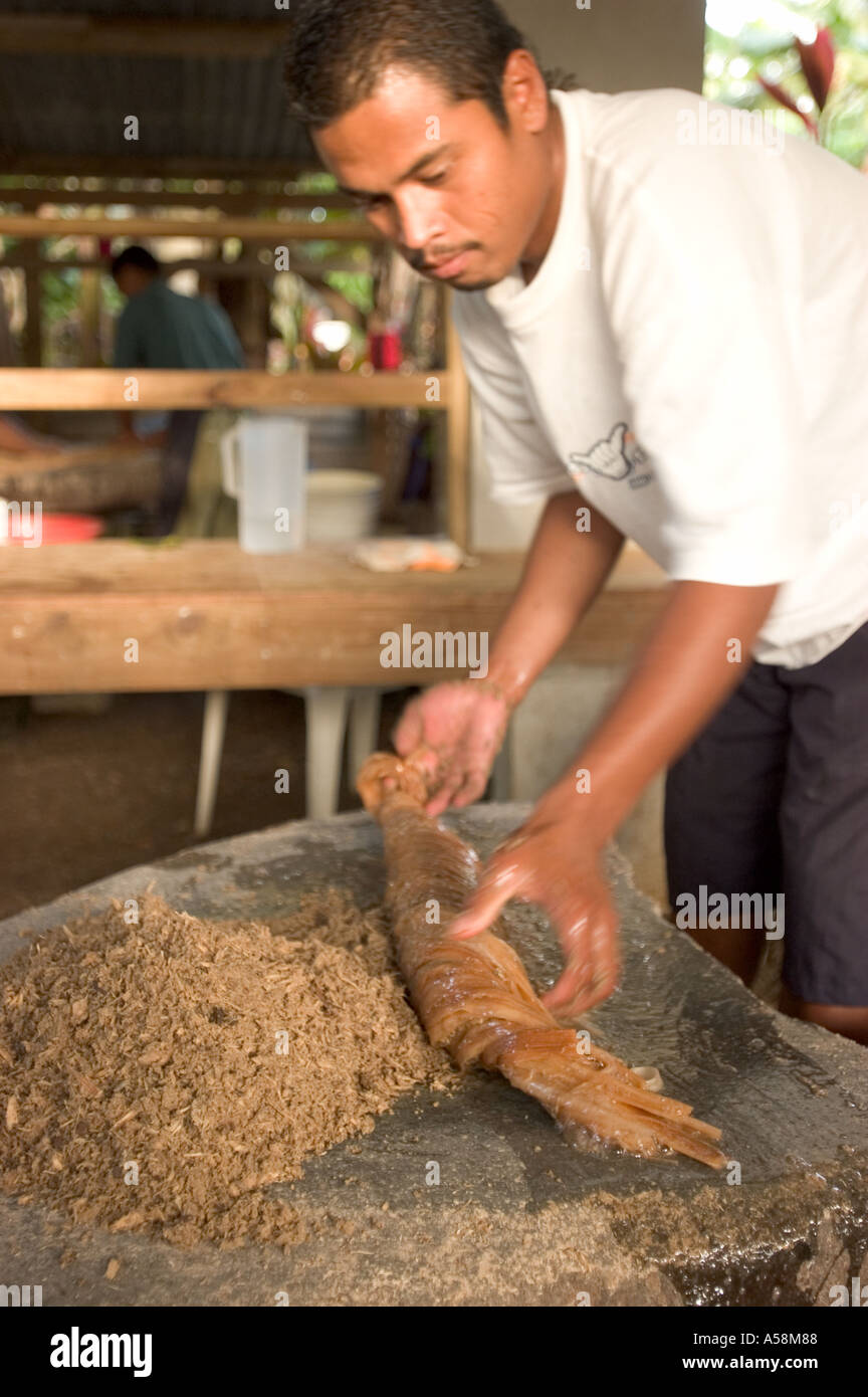 Pohnpei sokau making at Jungle Bar Stock Photo - Alamy