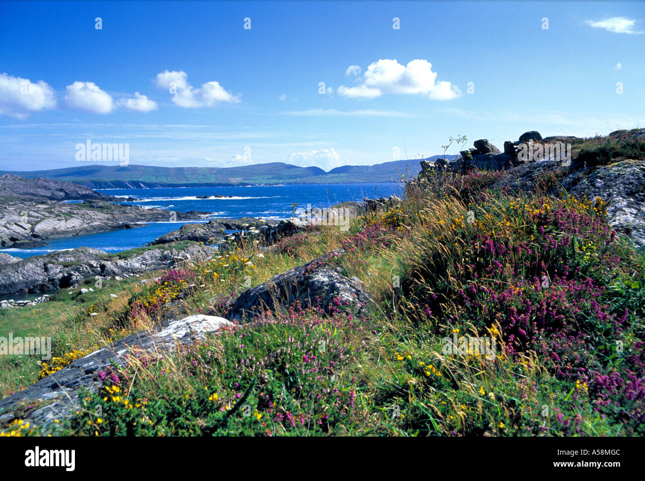 Cork Coast, Ireland Stock Photo - Alamy