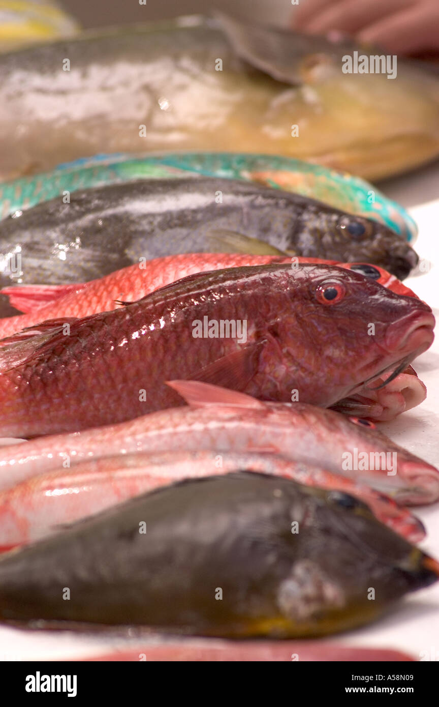 Salt water fish native to Guam USA Stock Photo - Alamy