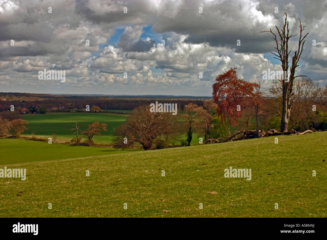 Hogs back, surrey hi-res stock photography and images - Alamy