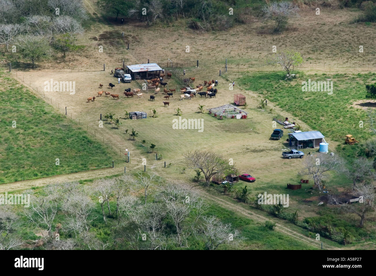 Tropical animals hi-res stock photography and images - Alamy