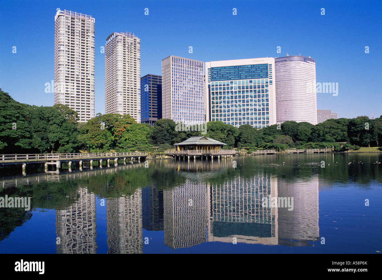 Japan, Tokyo, Hama Rikyu Japanese Garden and Shiodome Area Skyline ...