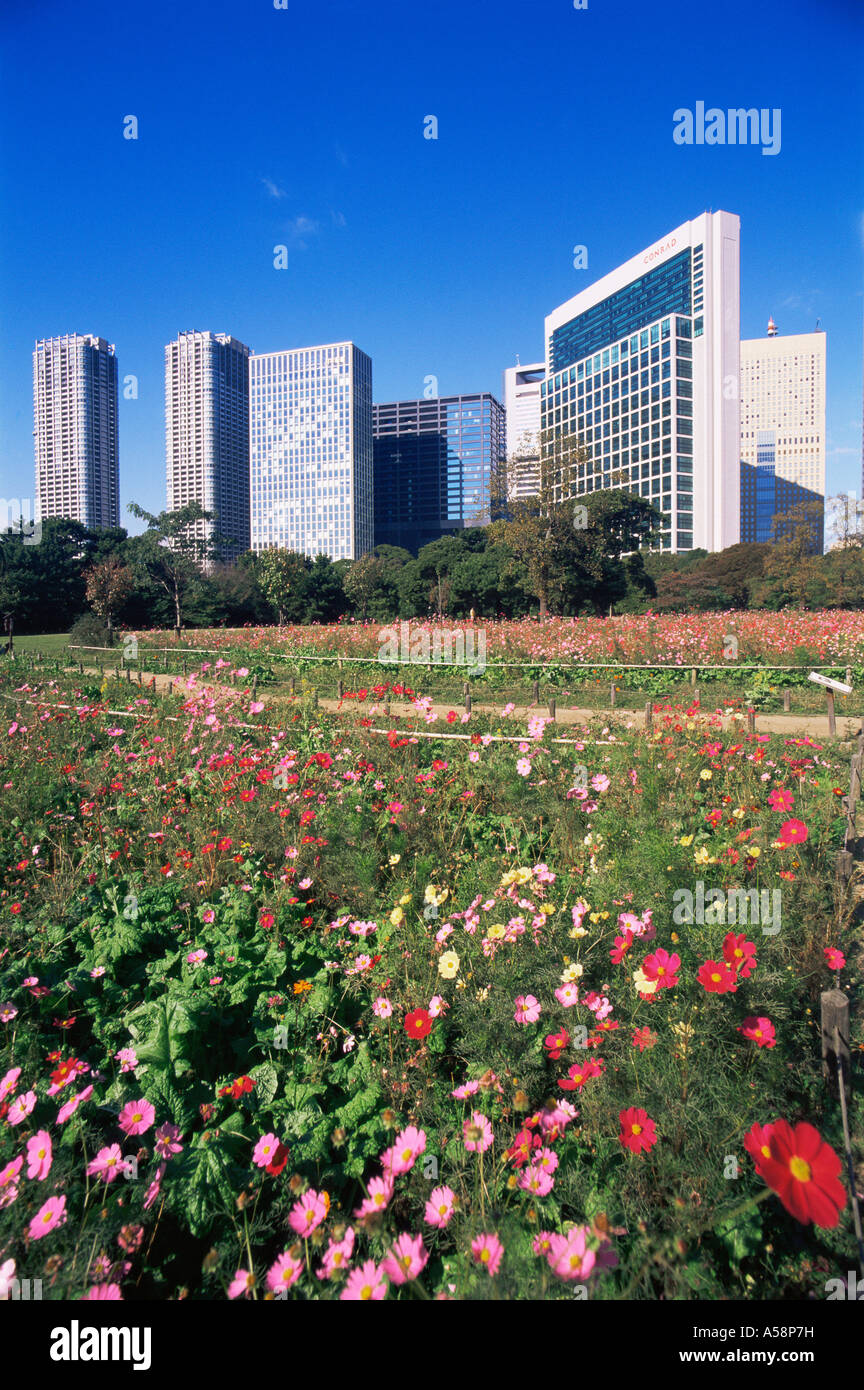 Japan, Tokyo, Hama Rikyu Japanese Garden and Shiodome Area Skyline ...