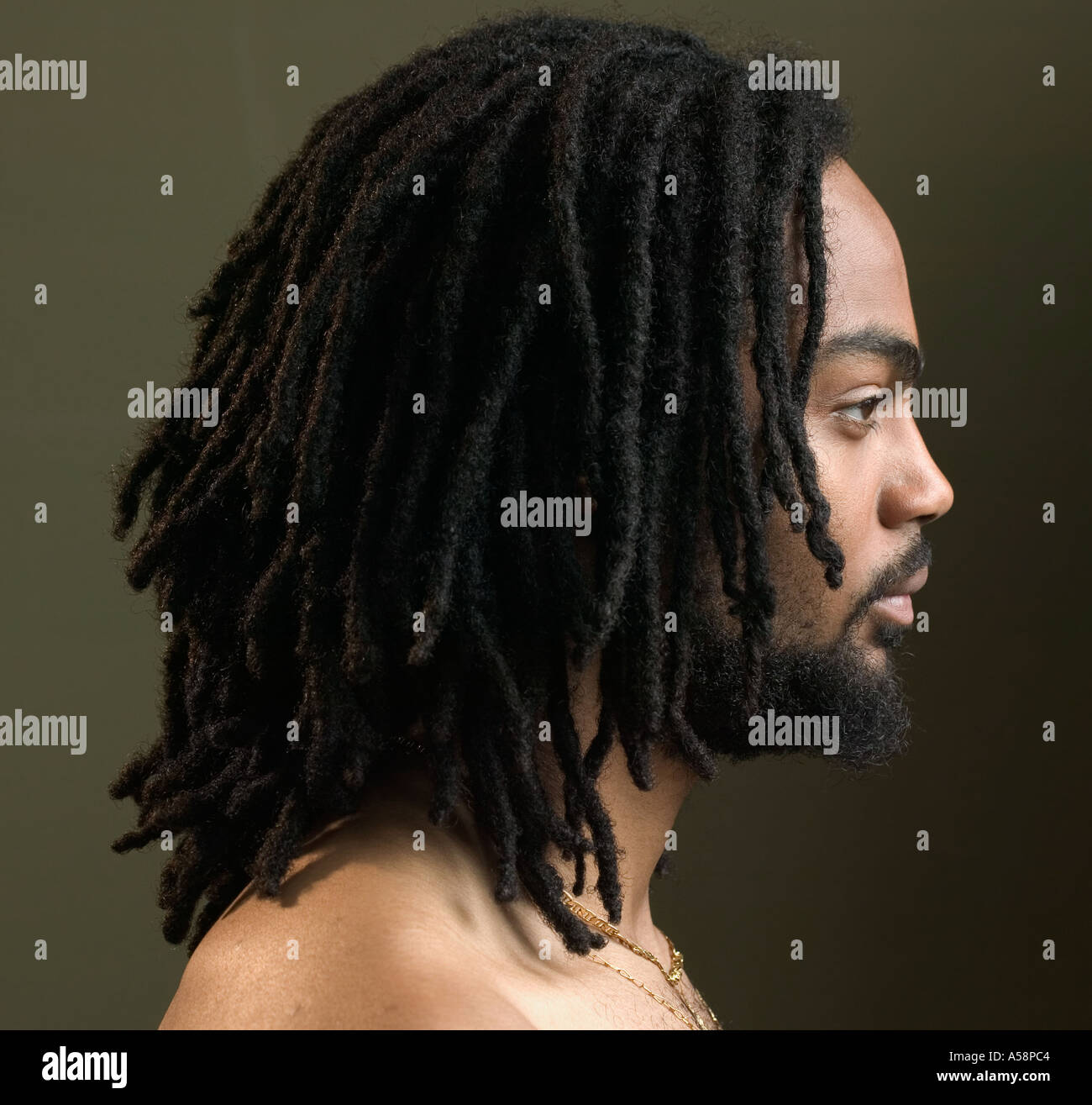 Profile of man with dreadlocks Stock Photo - Alamy