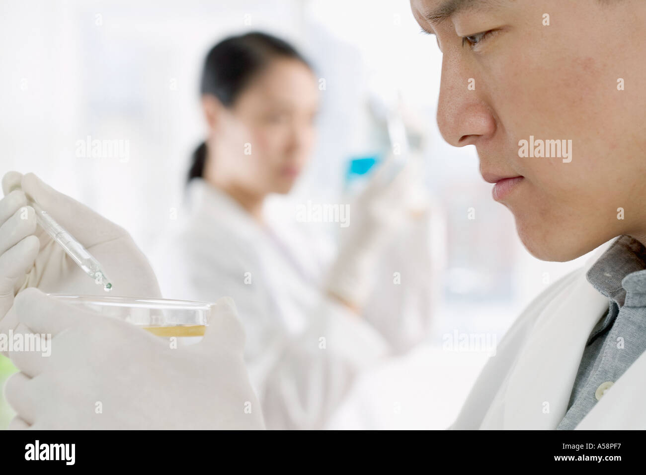 People working in lab Stock Photo - Alamy