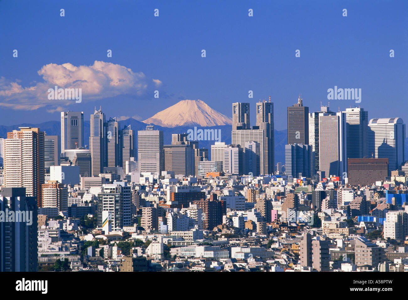 Japan, Tokyo, Mt.Fuji and Tokyo Shinjuku Area Skyline Stock Photo - Alamy
