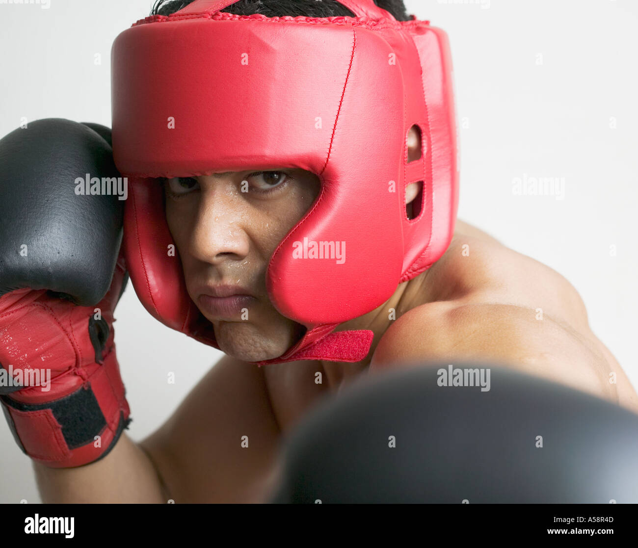 Portrait of man boxing Stock Photo - Alamy