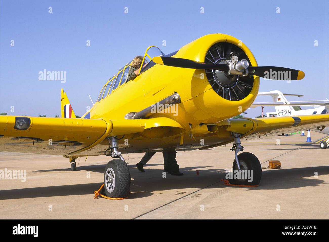North american 16 harvard hi-res stock photography and images - Alamy