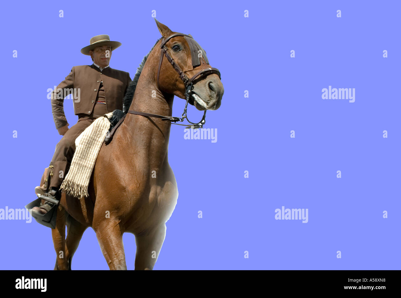 Spanish horse rider hi-res stock photography and images - Alamy