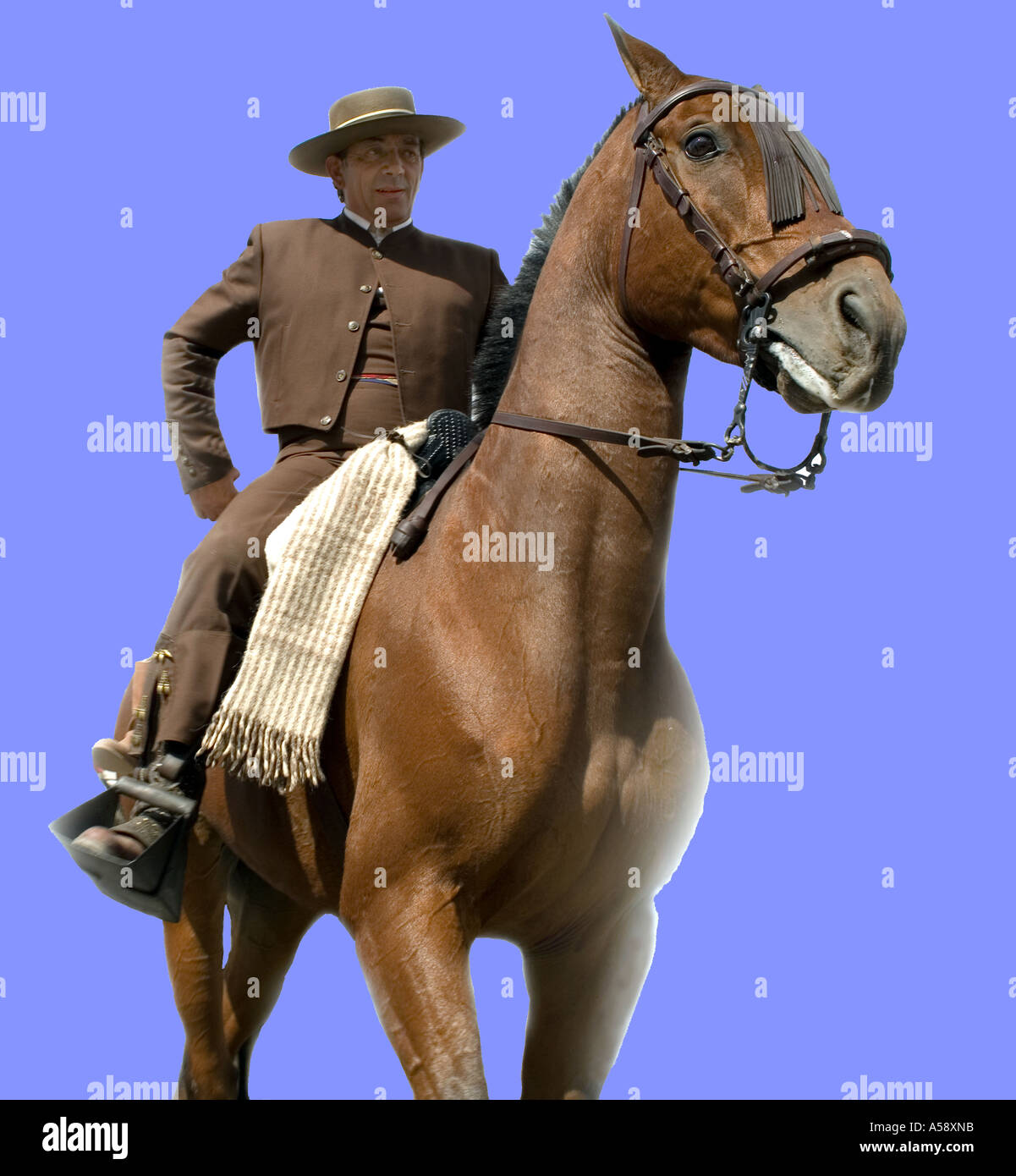 Spanish horse rider hi-res stock photography and images - Alamy