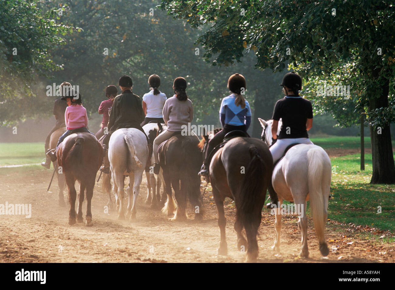 England, London, Horse Riding in Hyde Park Stock Photo - Alamy