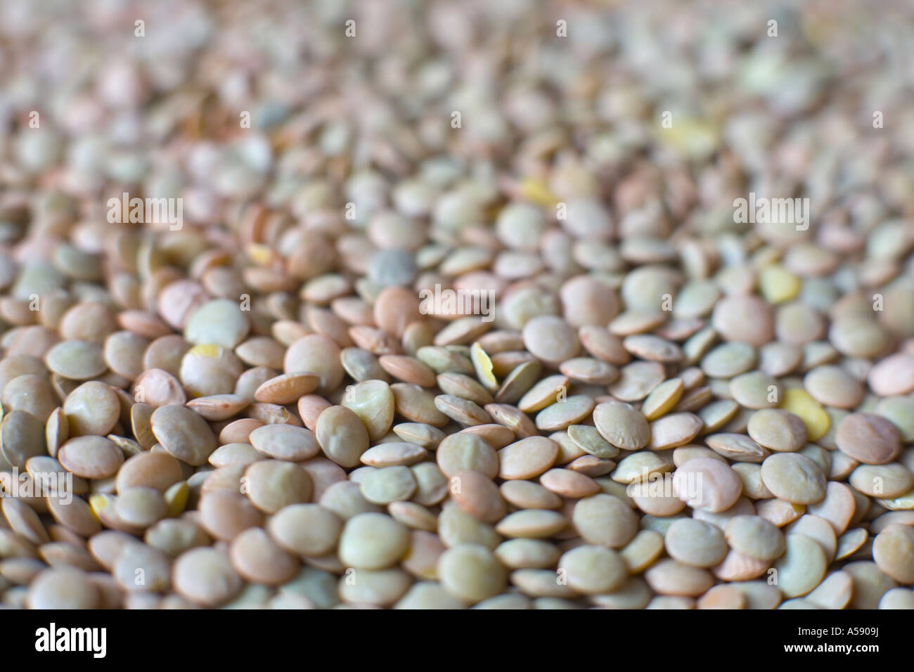 Patterns and textures green lentils Stock Photo - Alamy