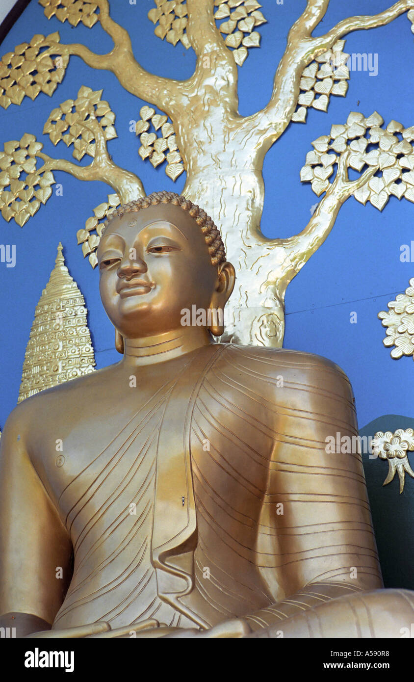Statue of the Buddha in World Peace Pagoda Pokhara city Nepal Stock ...