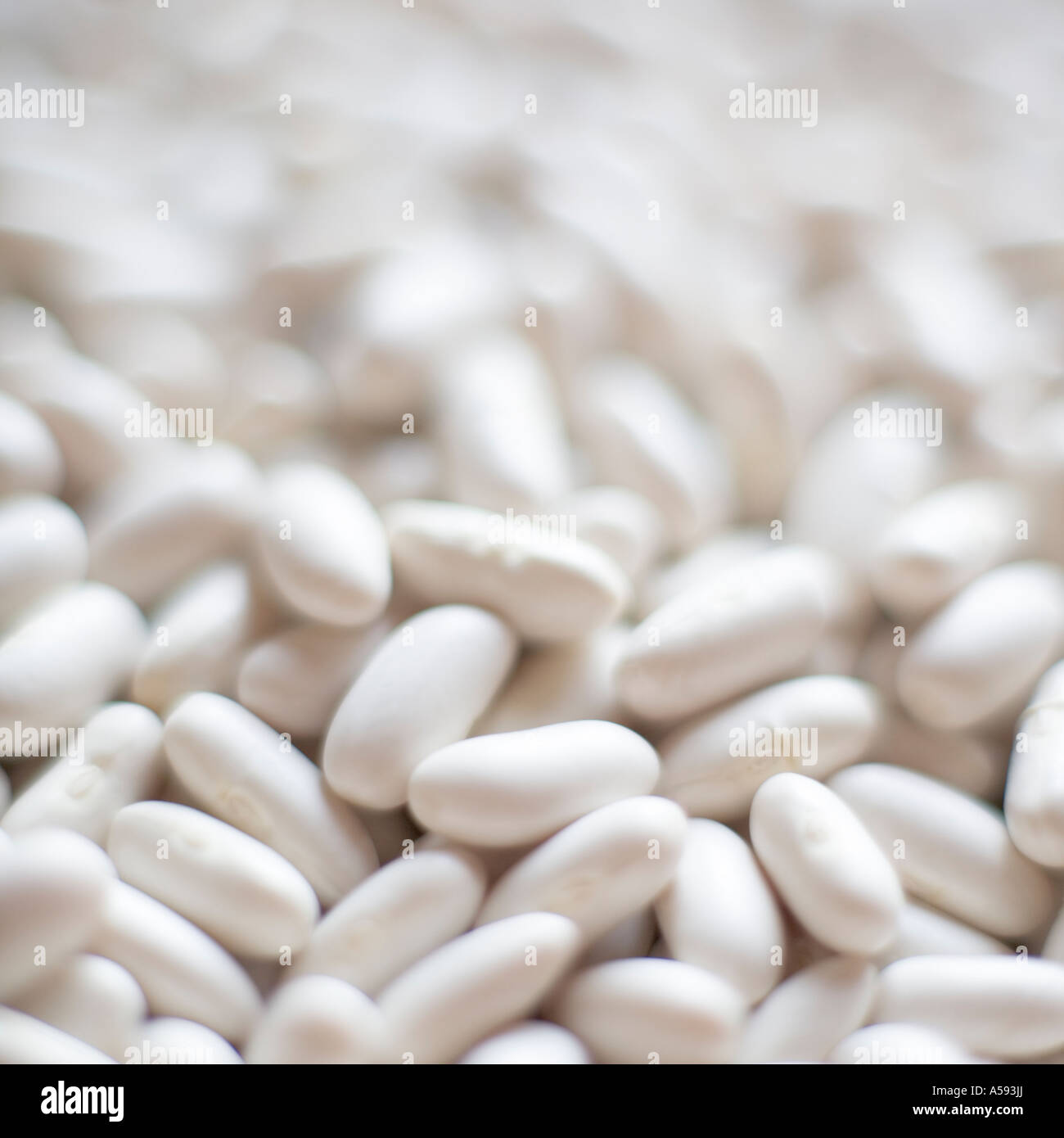 Dried white haricot beans Stock Photo - Alamy