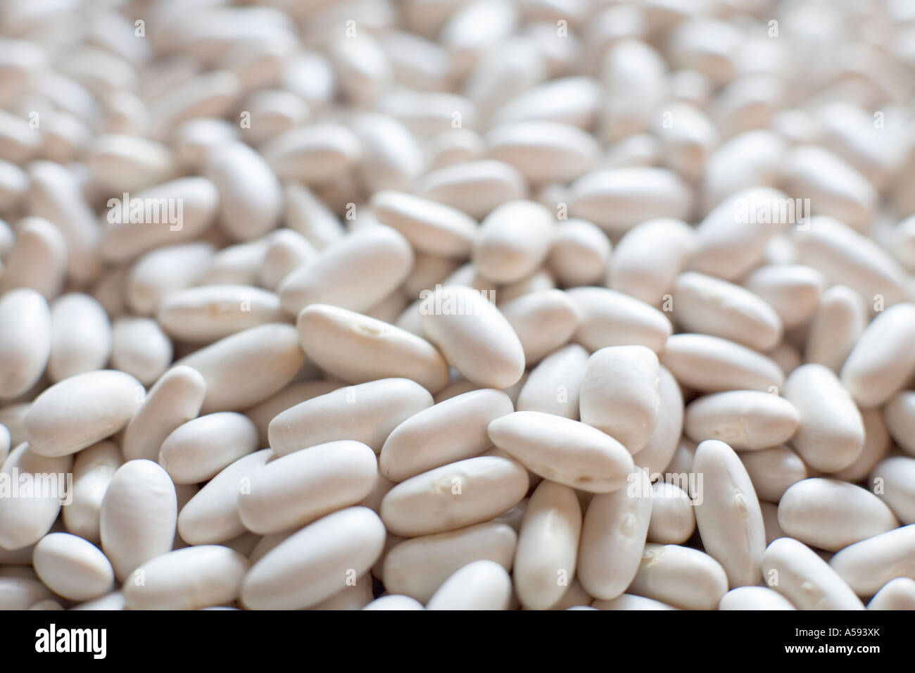 Dried white haricot beans Stock Photo - Alamy
