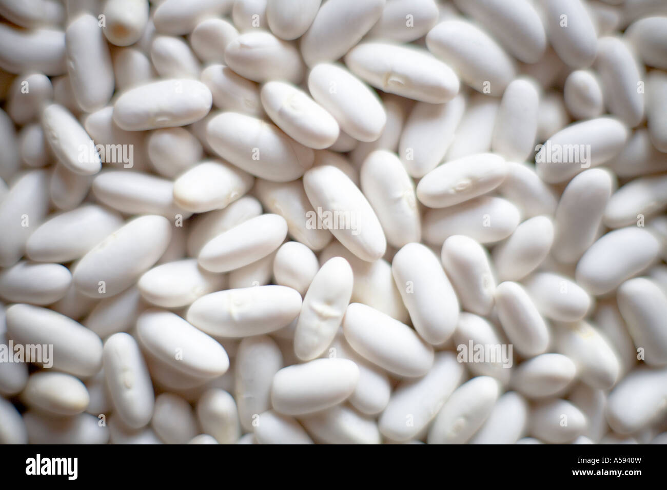 Dried white haricot beans Stock Photo - Alamy