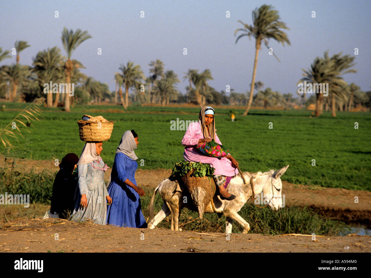 Girls girl woman womans donkey egypt egyptian Stock Photo - Alamy
