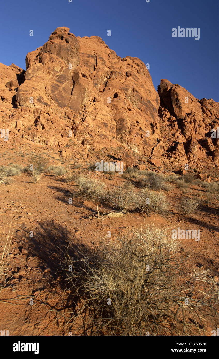 Navada desert hi-res stock photography and images - Alamy