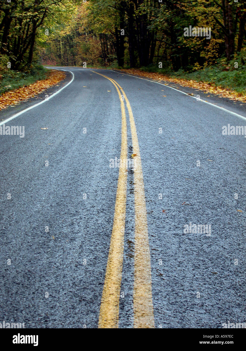 Rural highway in the Fall Stock Photo - Alamy