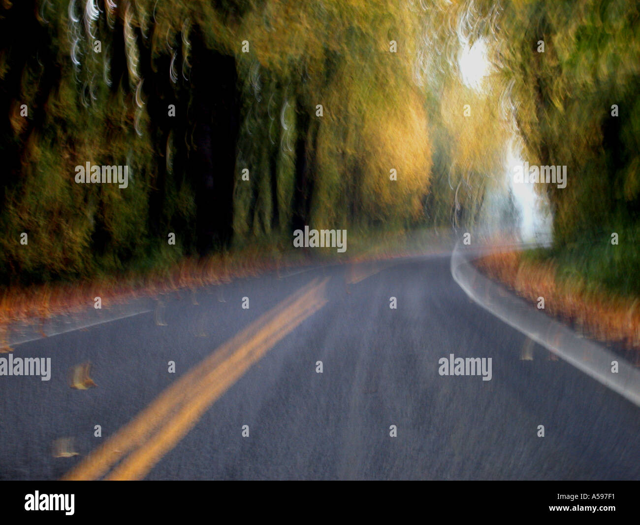 Rural highway in the Fall Stock Photo - Alamy