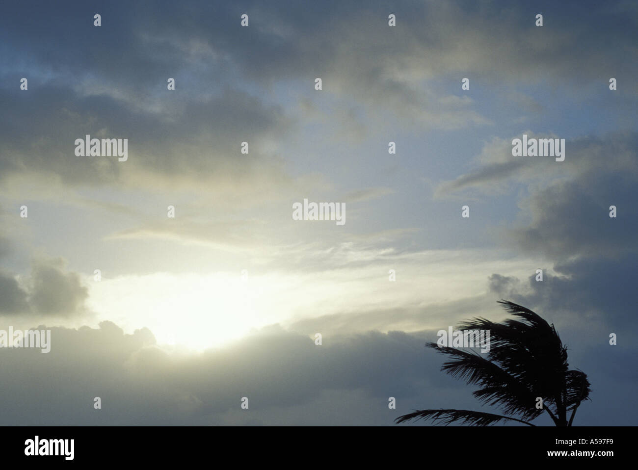Stormy weather in Bermuda in the Caribbean Stock Photo - Alamy